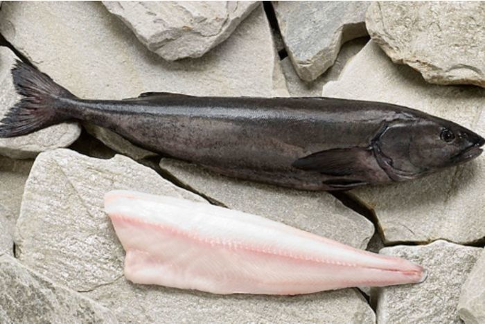Buy Whole Black Cod (Sablefish) Online | Mercato